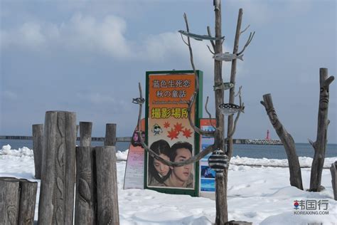 2024阿爸村游玩攻略 出发去蓝色生死恋的拍摄地 去哪儿攻略