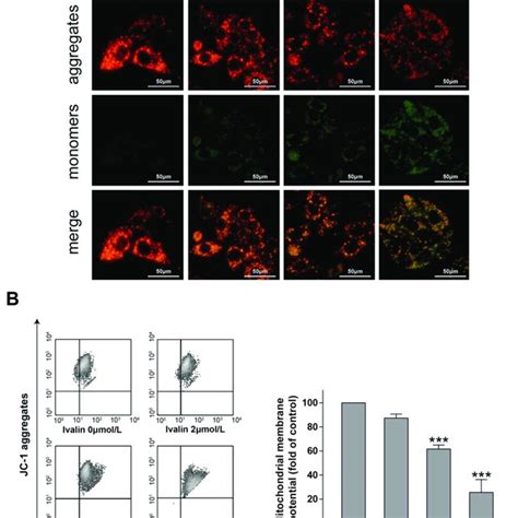 Formation And Structure Of Semi And Full Interpenetrating Polymer Download Scientific Diagram