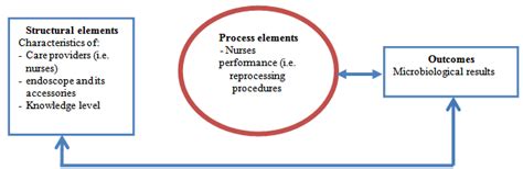 The Adapted Donabedian Model Download Scientific Diagram