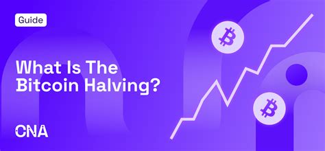 What Is Bitcoin Halving Here Is Everything You Need To Know