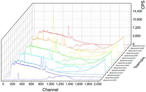 Identification Method For Xrf Spectral Analysis Based On An Aga Bp