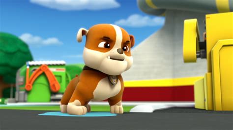 Paw Patrol Rubble Wallpapers Wallpaper Cave