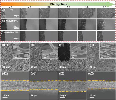 In Situ Optical Microscopy Of Li Plating Behavior On A Cu Foil B Download Scientific Diagram