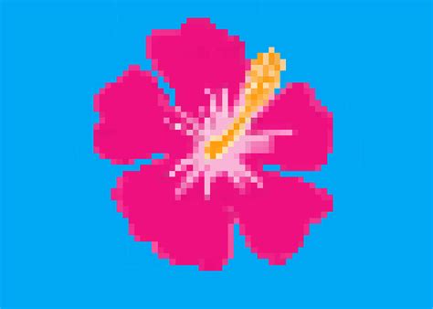 developer guide