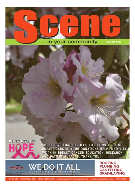 issue 600 scene online