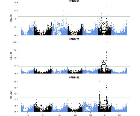Genome Wide Association Analyses Of Resistance To Pyrenophora Teres F