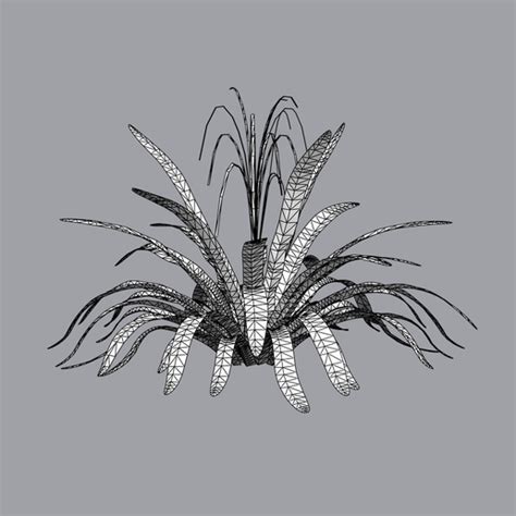 3d File Aechmea Blanchetiana 💐 ・3d Printing Design To Download・cults