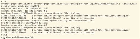 Tutorial K S Pod Issue Alibaba Graph Learn Github