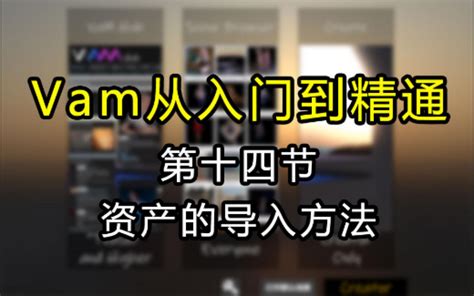 《vam教程timeline插件》第8节：如何导入导出动画