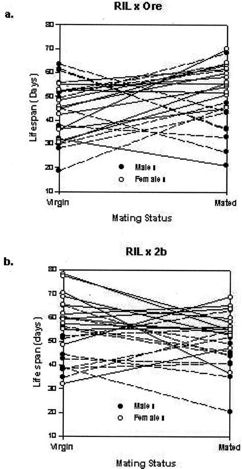The Relative Differences In Life Span Among Lines Depended On The Download Scientific Diagram