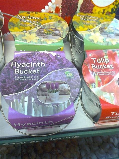 Chris Bickerton Bickertonchris Twitter