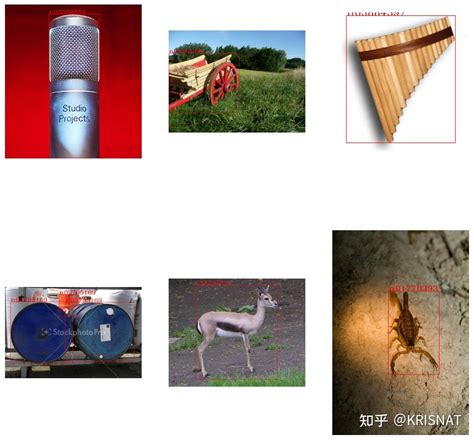 基于Python的ImageNet著名子数据集ILSVRC 下载解析及可视化 知乎