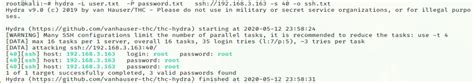 hydra详细使用教程 hydra使用 csdn博客