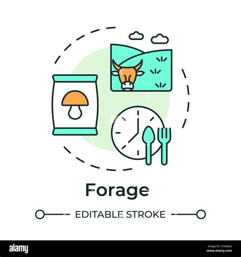 forage multi color concept icon stock vector image and art alamy