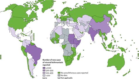 Leishmaniasis The Lancet