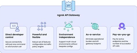 Ngrok Blog Introducing Ngroks Developer Defined Api Gateway Shifting The Paradigm Of Api Delivery