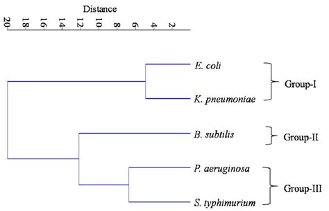 Hca Based On The Euclidean Distance Between Groups Of The Antibacterial Download Scientific