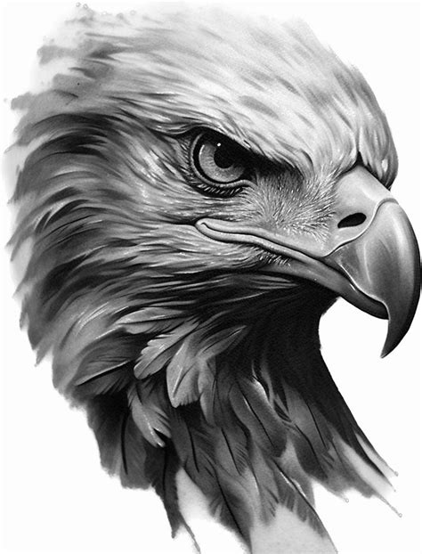 Realistic Eagle Head Drawing Two Headed Eagle Tattoo Designs