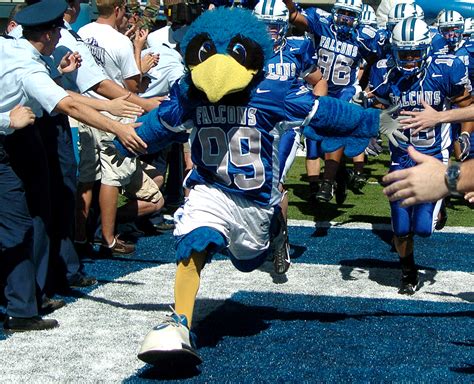Falcons Bird Mascot