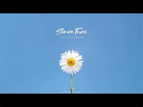 Since Tum Lyrics English Translation Jani ‪talha Anjum Lyricsdecoder