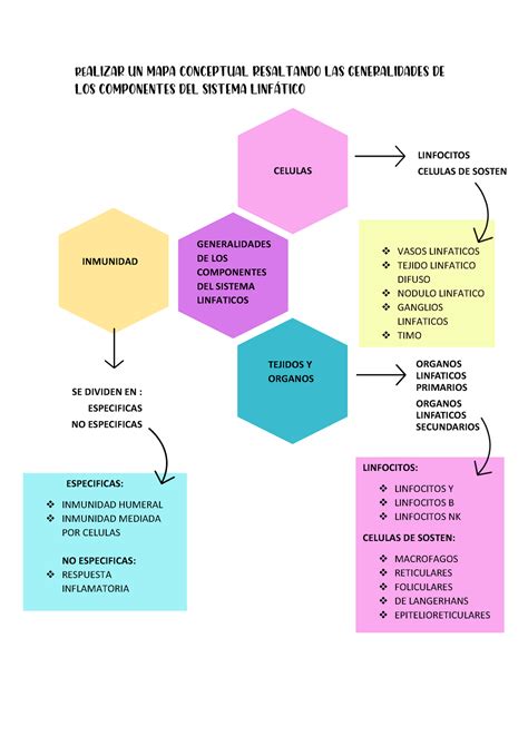 Mapa Conceptual Histologia Histolog A Studocu Sexiz Pix