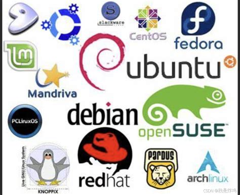 初识linux · 基本指令1 Csdn博客 初识linux · 基本指令1 Csdn博客