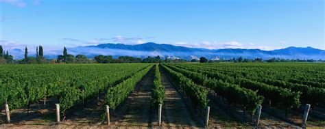 Обои Природа Поля обои для рабочего стола фотографии природа поля Обои для рабочего стола