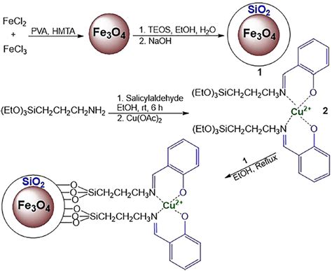 Preparation Of Fe3o4 Sio2 Salen‐cu Ii Nanocatalyst Reprinted With Download Scientific