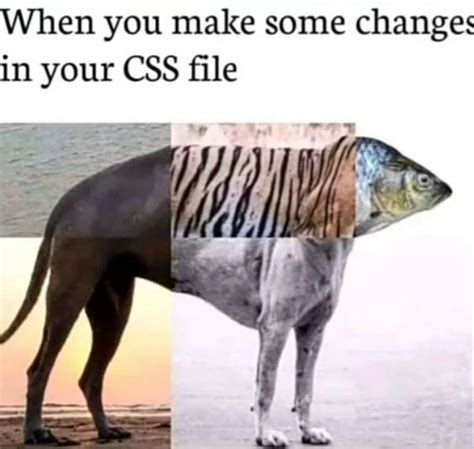 Suryansh Rana On Linkedin Cssmaestro Webstyling Python Sql