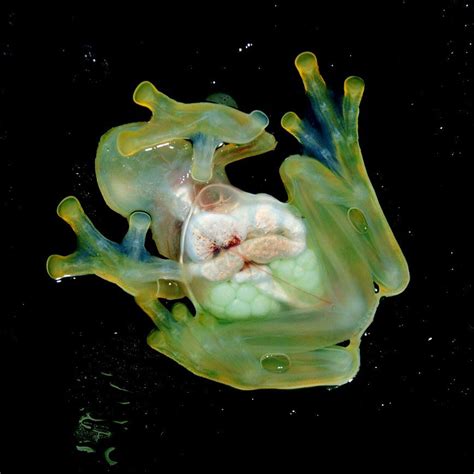 Awesome Pics That Will Torque Your Rod EBaum S World