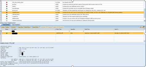 Single Sign On Sso Between Sap Ep Portal And Sap Abap System Buddysap