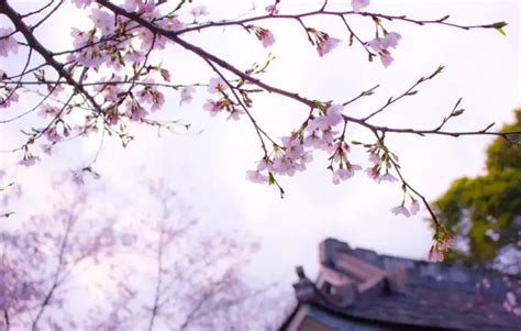 10 те най опасни религиозни култа в света • © 10 те най