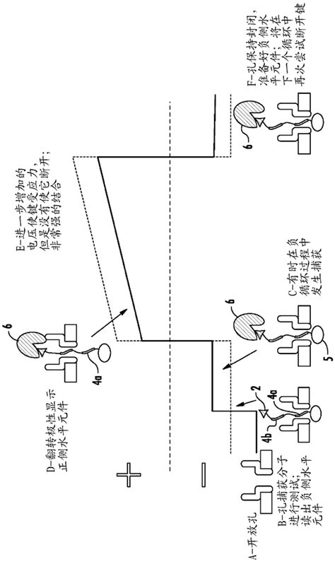 Methods And Compositions For Detection And Analysis Of Analytes