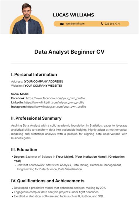 Data Analyst Beginner CV Template Edit Online Download Example Template Net
