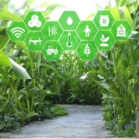 Crop Monitoring AeroStar Dynamics