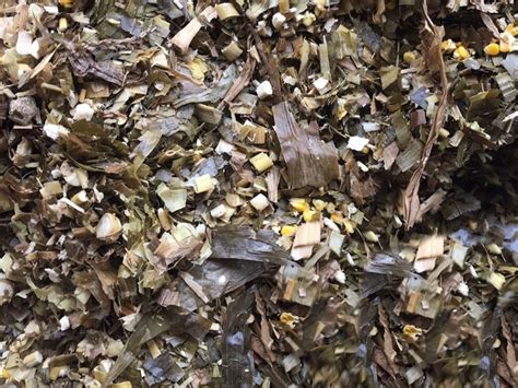 Hilife Cropped Corn Silage For Cattle Feeds Animal Feed Cattle Feed