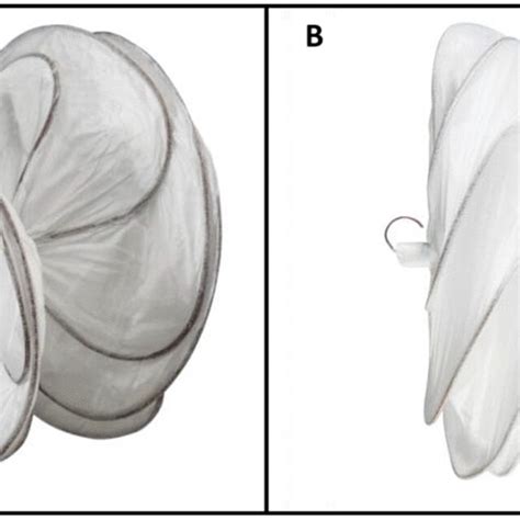 Example Of Amplatzer Devices Commonly Used For Ventricular Septal Download Scientific Diagram