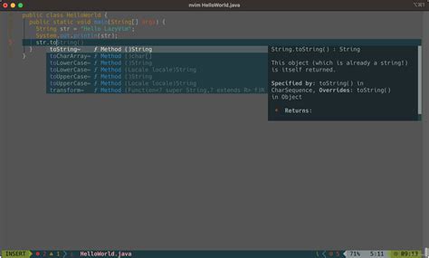 2024年在vim中开发vue2javaneovim Java Csdn博客