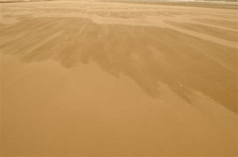 무료 이미지 바닷가 경치 연안 조직 사막 모래 언덕 여름 여행 색깔 자연스러운 휴일 갈색 흙 노랑 평원 배경 고원 서식지 사하라 와디