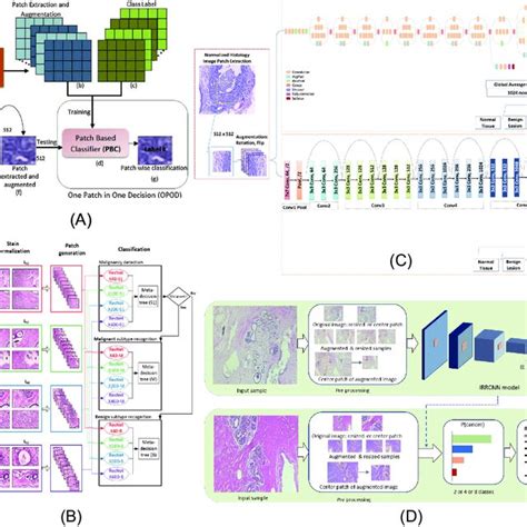 Some Typical Models Of Disease Classification Based On Breast Download Scientific Diagram