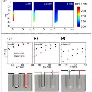 Electrical Double Layer Overlapping In Nanoconfined Space A Simulated Download Scientific