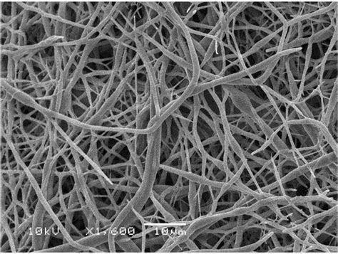 Mxene Nanowire Composite Electrospinning Fiber Membrane For Photothermal Desalting Eureka