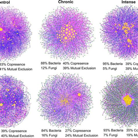 Combined Bacterial And Fungal Species Co‐occurrence Networks For All