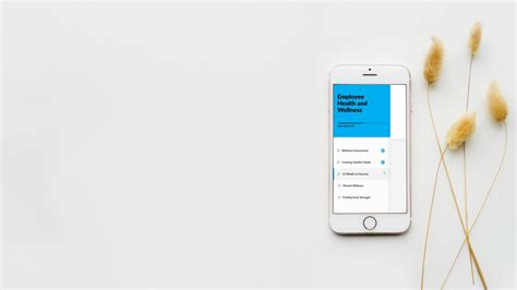 Unlocking The Power Of Articulate Rise A Beginners Guide Villumis Blog