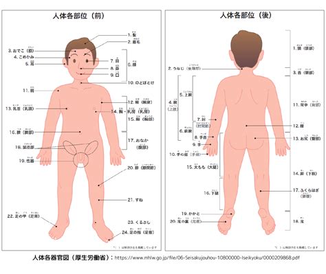 【完全版】用語マスター「体の部位」介護記録など便利に活用してね 合同会社延西