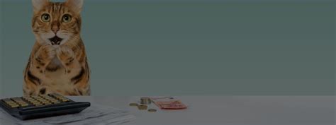 Naspp The Six Inputs Of An Option Pricing Model