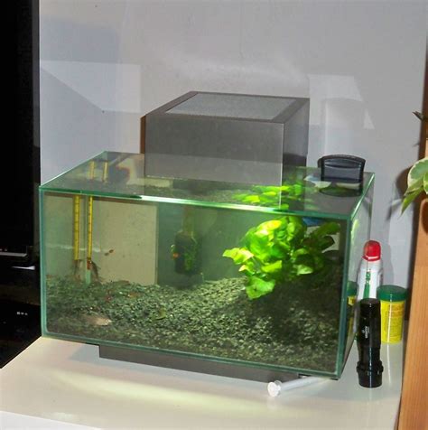 Cube Aquarium Mój Fluval Edge