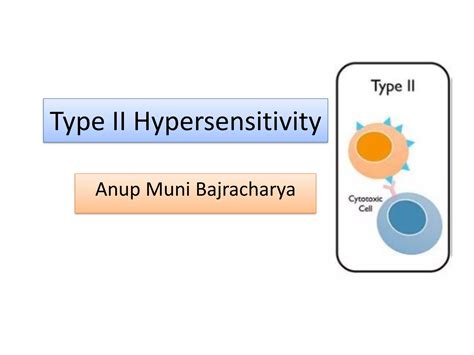 Type Ii Hypersensitivity Antibody Mediated Cytotoxic Hypersensitivity Pdf
