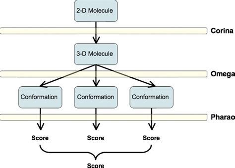 Possible Workflow To Combine Multiple Conformations Handling With Download Scientific Diagram
