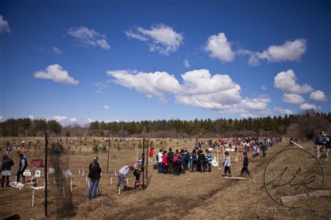 Tree Planting Party The Curious Creature